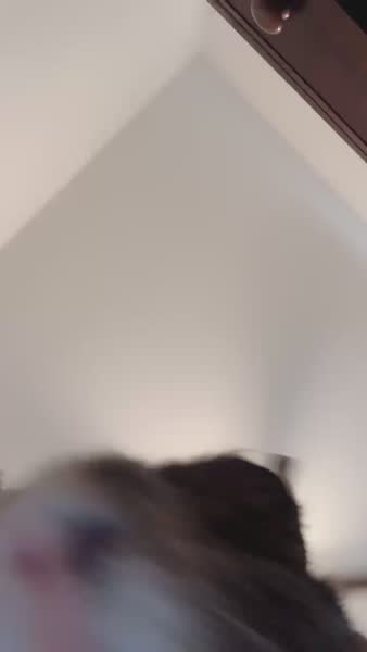 Elizabeth Bryant Getting Over It with Bennett Foddy Mobile HD Live &Video - Watch Elizabeth ...