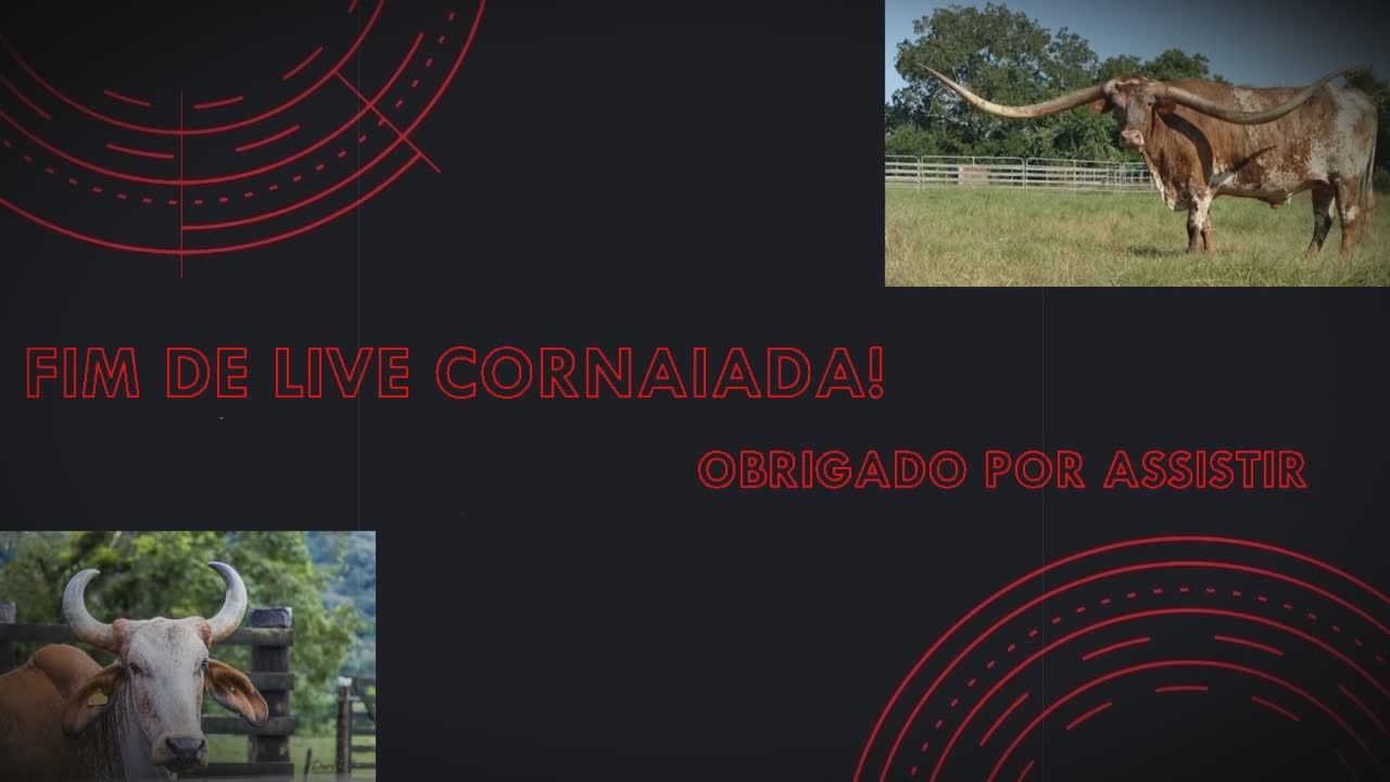 Mega.exe Free Fire HD Live &Video - Watch Mega.exe Playing Free Fire ...